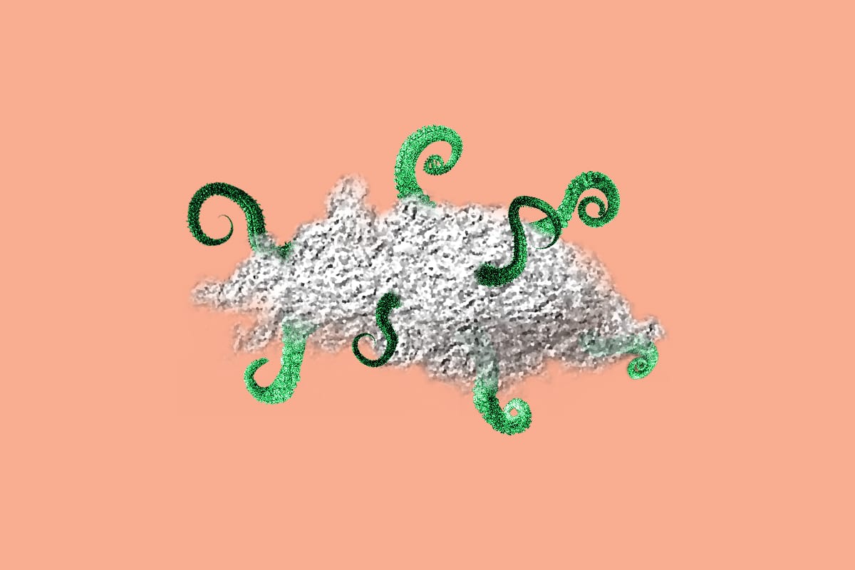 Entering the SOTD zone